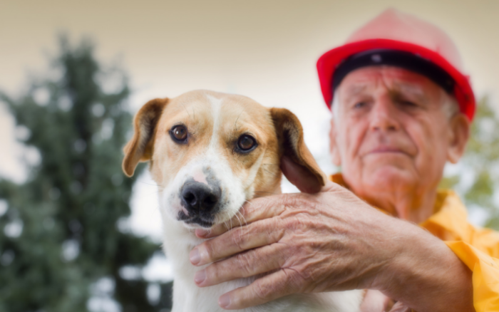 Disaster planning for pets: no pet left behind