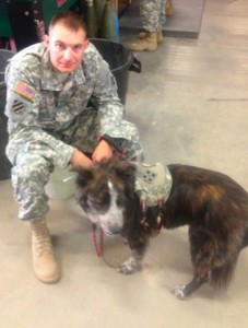 Abandoned dog rescues combat veteran with PTSD - Pets for Patriots