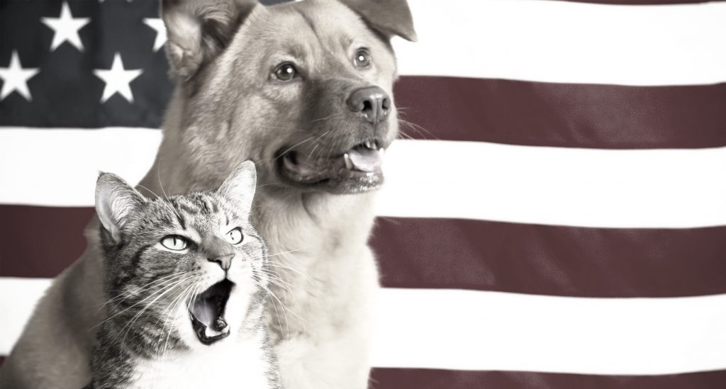 Pets for Patriots says let freedom ride