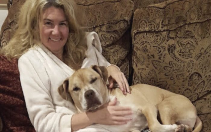 Old stray Pit Bull makes new life with Navy veteran's family