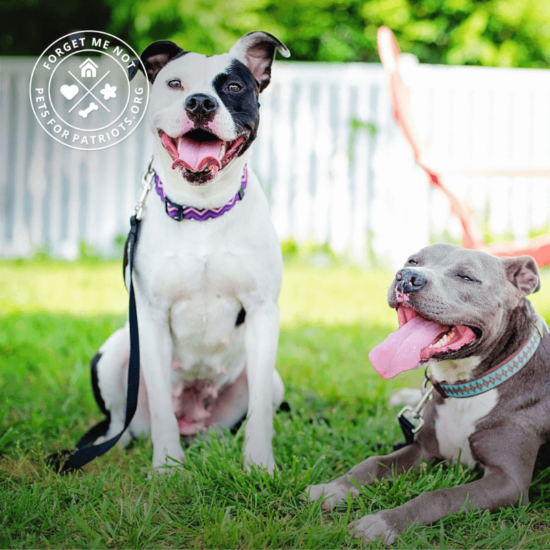 Pets for Patriots - Pets for Patriots